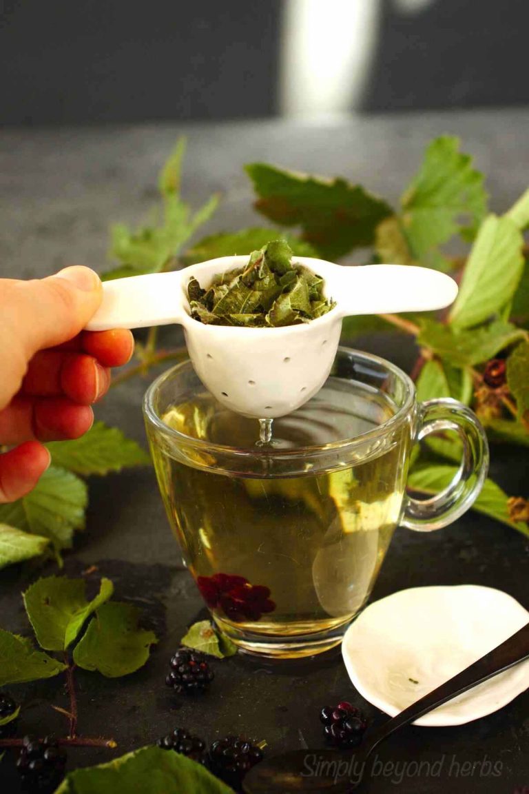Blackberry tea recipe: 4 ways to make. - SimplyBeyondHerbs