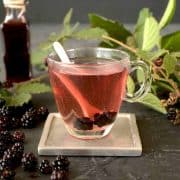 Blackberry tea recipe: 4 ways to make. - SimplyBeyondHerbs
