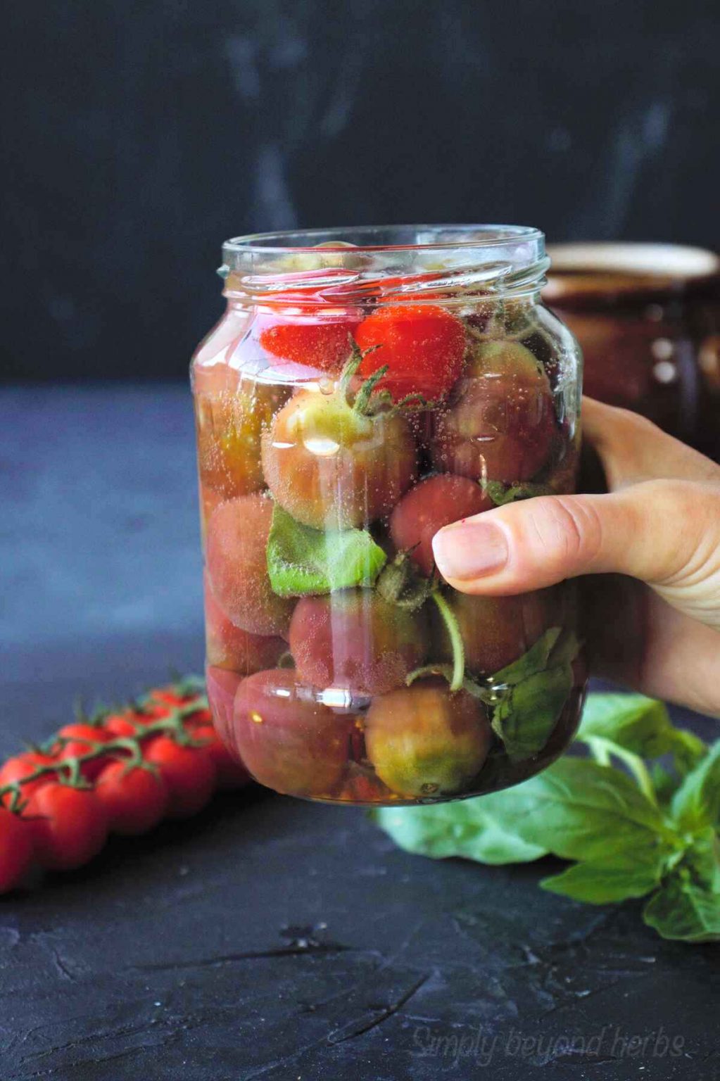 Probiotic-rich fermented Tomatoes with Basil. - SimplyBeyondHerbs