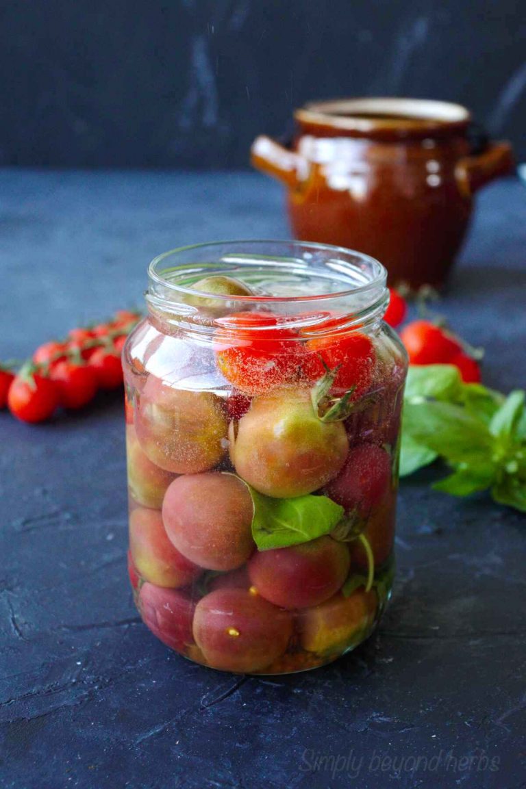 Probiotic-rich fermented Tomatoes with Basil. - SimplyBeyondHerbs