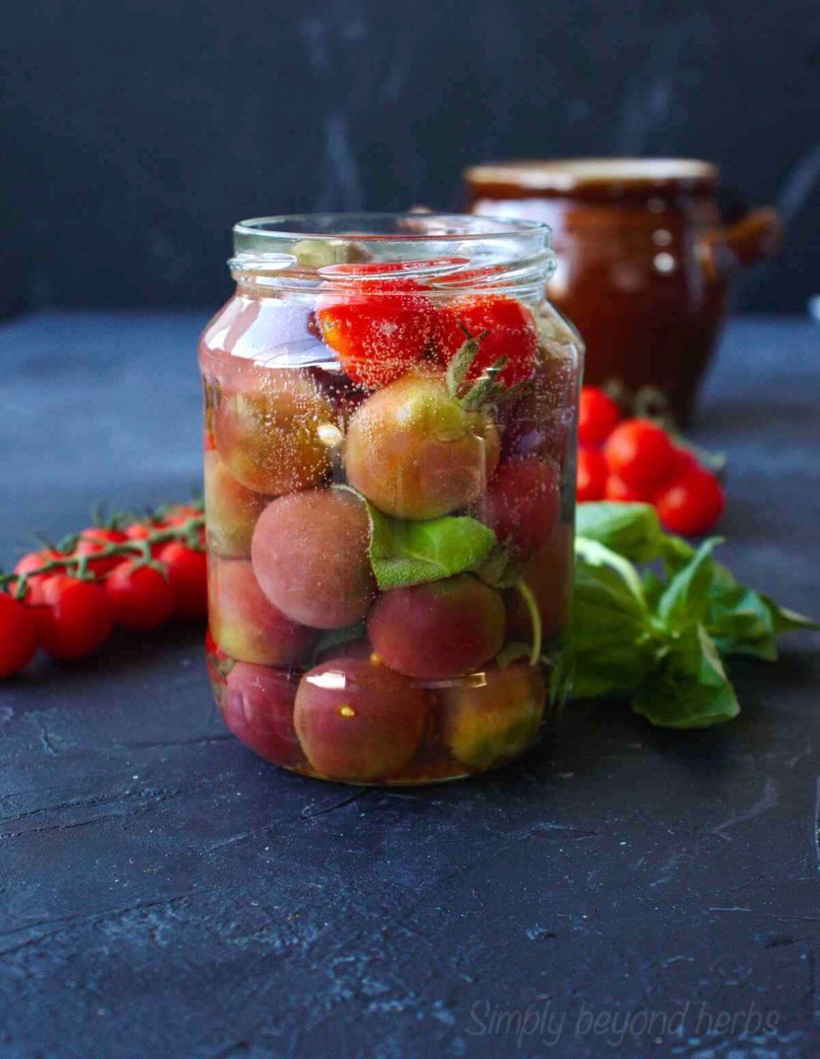 Probiotic-rich fermented Tomatoes with Basil. - SimplyBeyondHerbs