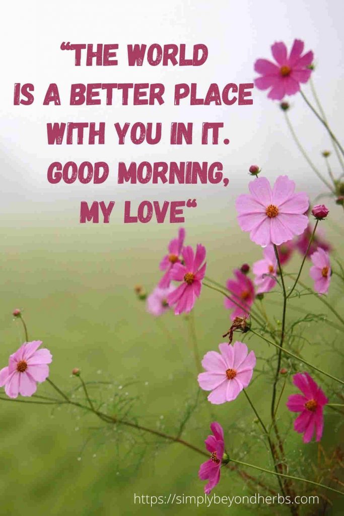 300+ Good Morning Flower Quotes with stunning images - SimplyBeyondHerbs