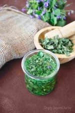 Violet Flower meaning and symbolism: Ultimate Guide to viola modesty ...