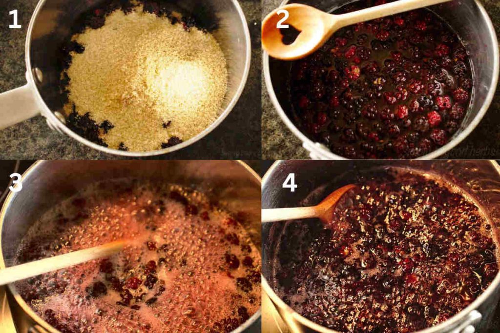 Wild Blackberry Simple Syrup Recipe for Cocktails - SimplyBeyondHerbs