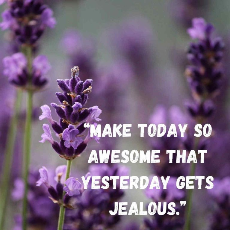 300+ Good Morning Flower Quotes with stunning images - SimplyBeyondHerbs