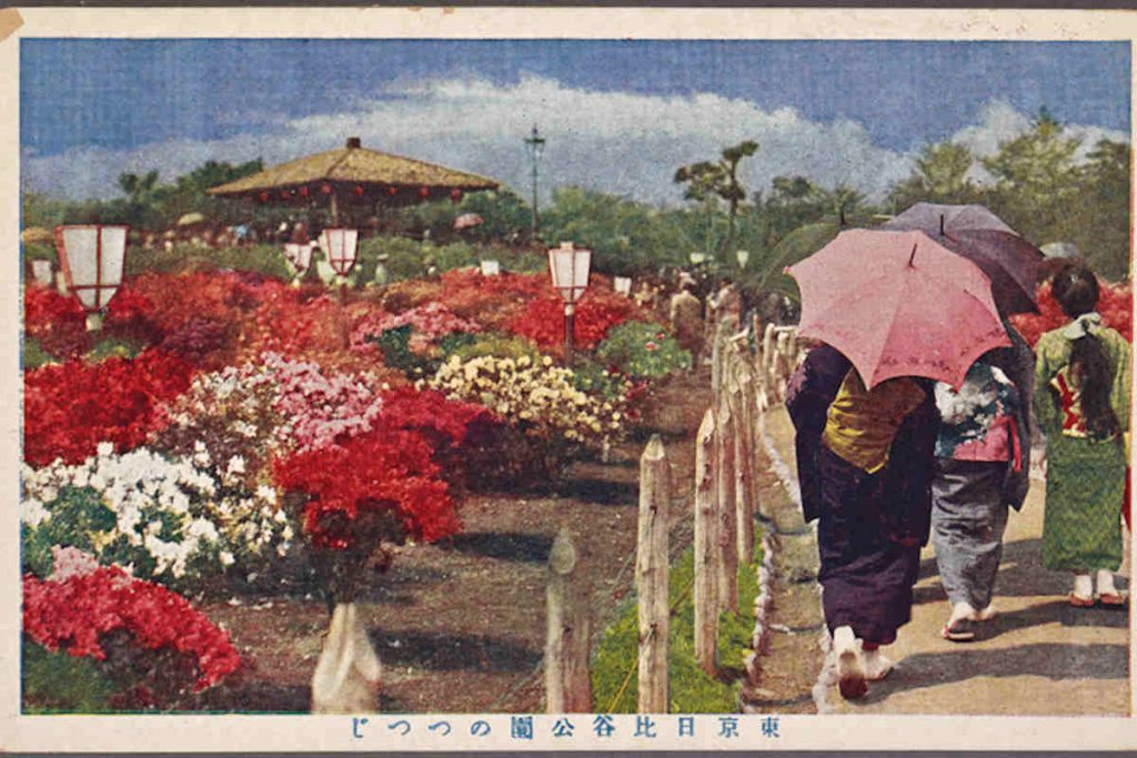 Azalea Flower Meaning and Symbolism - SimplyBeyondHerbs