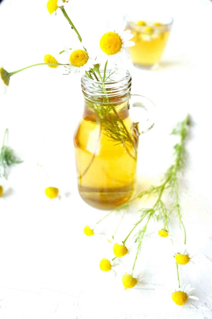 Chamomile Flower Meaning in the language of flowers - SimplyBeyondHerbs