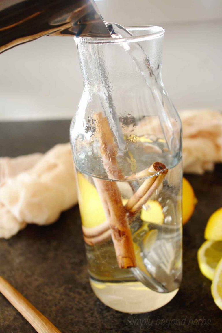 Refreshing Lemon Cinnamon Water Recipe - SimplyBeyondHerbs