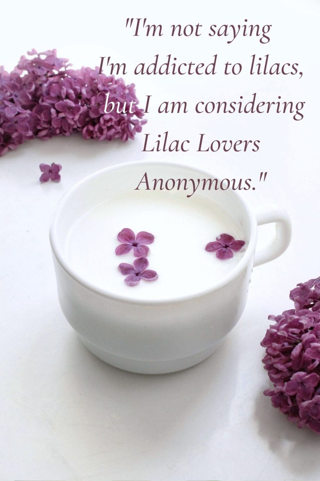 260+ Best Lilac quotes and lilac captions: Ultimate Collection ...