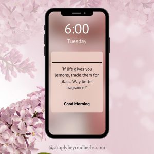 260+ Best Lilac quotes and lilac captions: Ultimate Collection ...