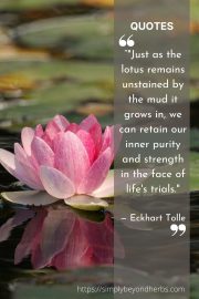 100+ Best Lotus Quotes: sharing Wisdom through Lotus Flower quotes ...