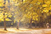 Autumn symbolism: Ultimate guide to fall season meaning - SimplyBeyondHerbs