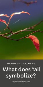 Autumn symbolism: Ultimate guide to fall season meaning - SimplyBeyondHerbs