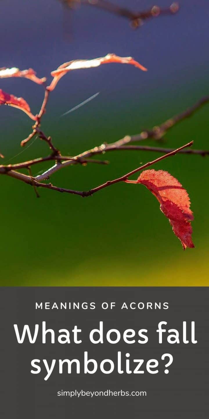 Autumn symbolism: Ultimate guide to fall season meaning - SimplyBeyondHerbs