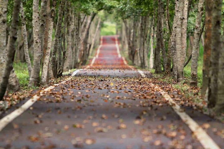 Autumn symbolism: Ultimate guide to fall season meaning - SimplyBeyondHerbs