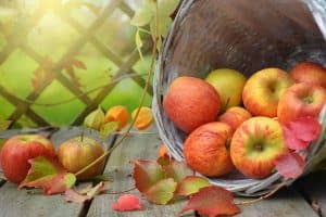 Autumn symbolism: Ultimate guide to fall season meaning - SimplyBeyondHerbs