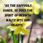 200+ Inspiring Daffodil Quotes and Captions for Instagram ...