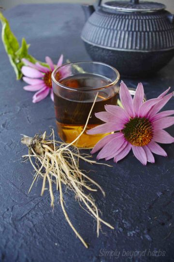 60+ Winter Tea recipes: from Herbal Infusions to Spicy Warmth ...