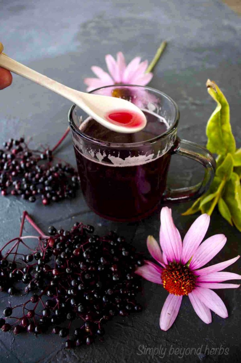 60+ Winter Tea recipes: from Herbal Infusions to Spicy Warmth ...