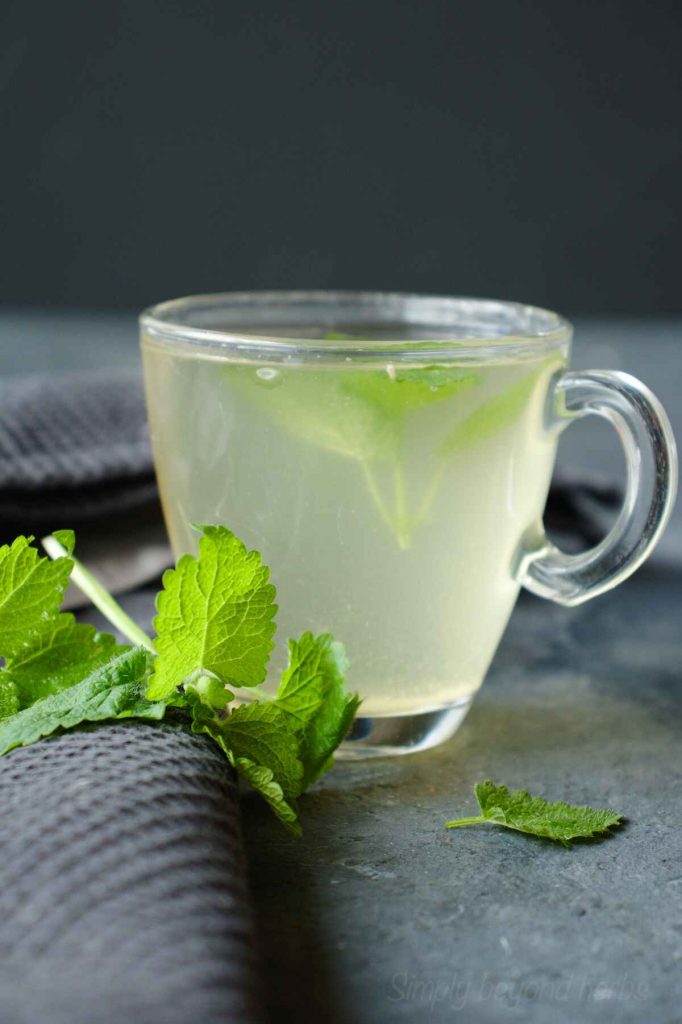 60+ Winter Tea recipes: from Herbal Infusions to Spicy Warmth ...
