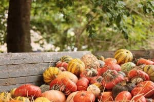 Autumn symbolism: Ultimate guide to fall season meaning - SimplyBeyondHerbs