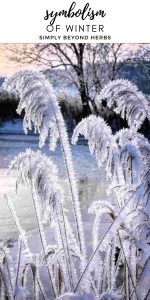 Winter Symbolism: The guide to the meaning of the winter season ...