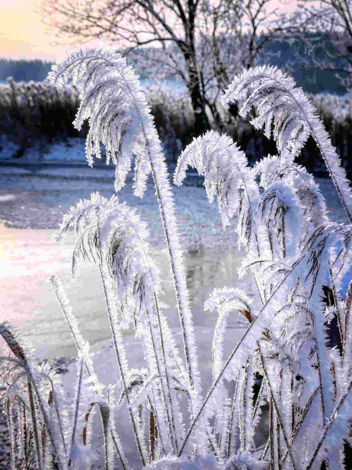 Winter Symbolism: The guide to the meaning of the winter season ...