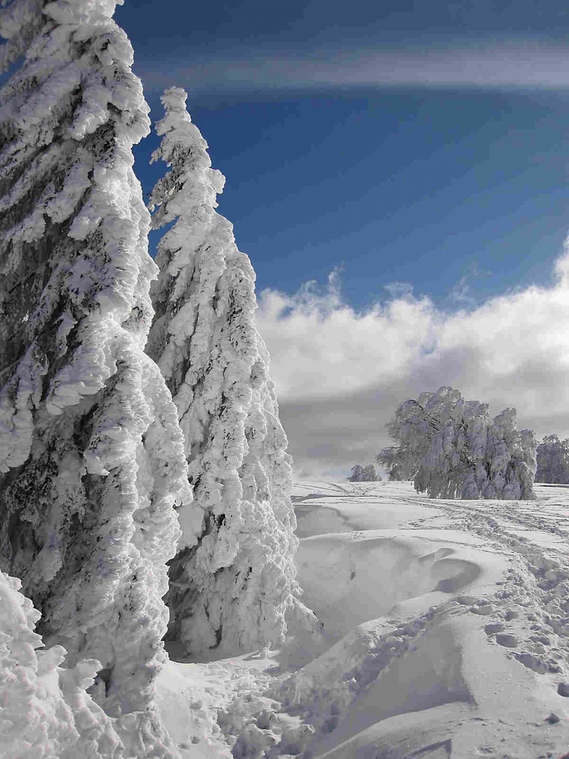 Winter Symbolism: The guide to the meaning of the winter season ...