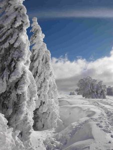 Winter Symbolism: The guide to the meaning of the winter season ...