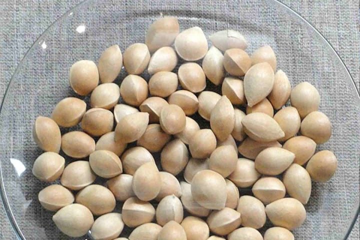 Ginkgo Tree Symbolism and Meanings: The Ultimate Guide - SimplyBeyondHerbs