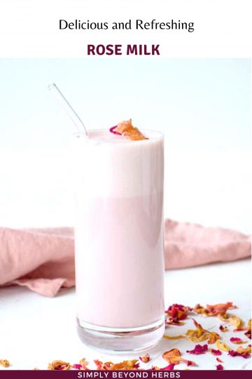 Rose Milk with Homemade Rose Syrup - SimplyBeyondHerbs