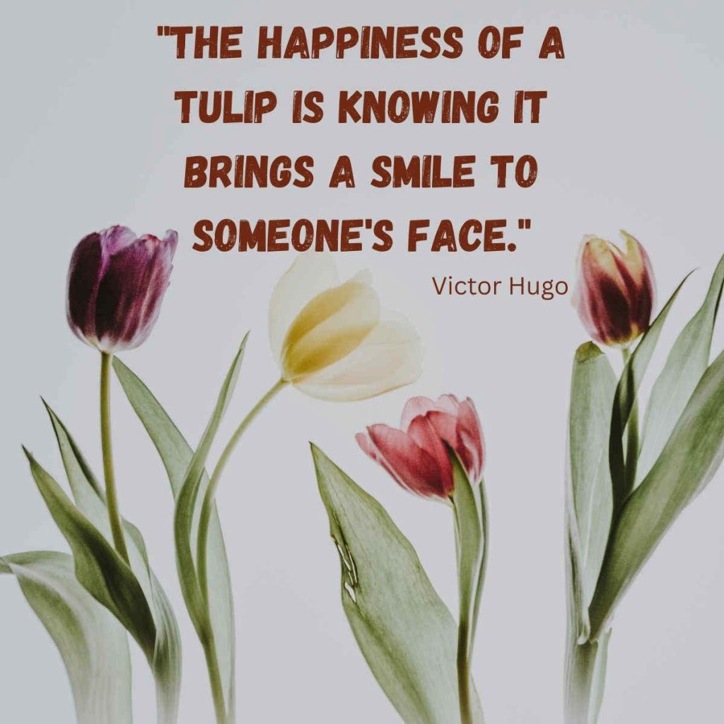 200+ Beautiful Tulip Quotes and Instagram captions - SimplyBeyondHerbs