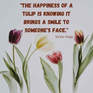 200+ Beautiful Tulip Quotes and Instagram captions - SimplyBeyondHerbs
