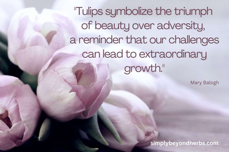 200+ Beautiful Tulip Quotes and Instagram captions - SimplyBeyondHerbs