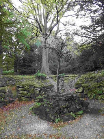 Willow Tree Symbolism and Meaning: The Ultimate Guide - SimplyBeyondHerbs