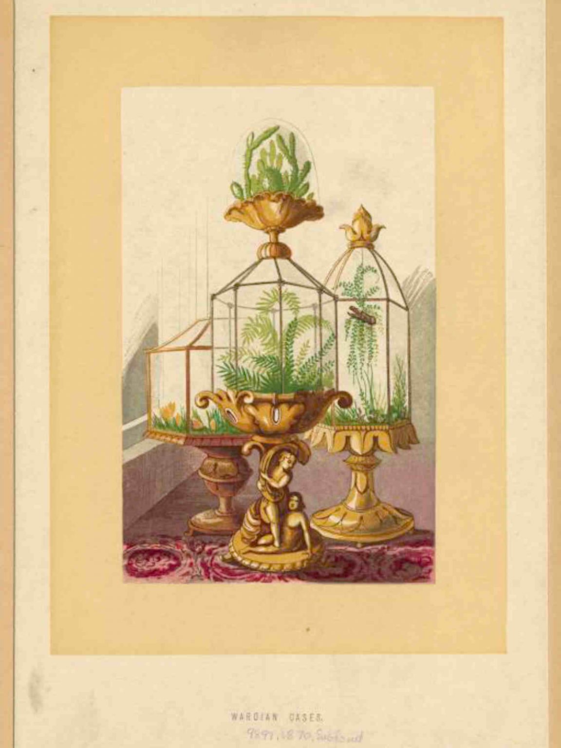 Symbolism of Fern Plants - SimplyBeyondHerbs