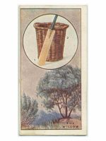 Willow Tree Symbolism and Meaning: The Ultimate Guide - SimplyBeyondHerbs