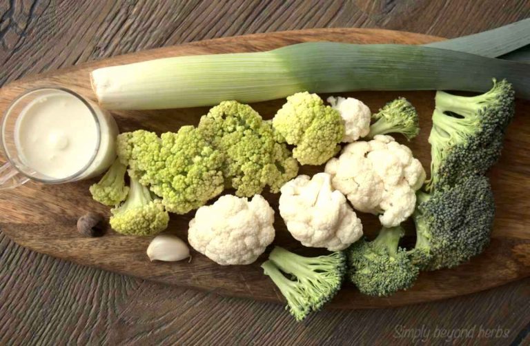 15+ Flowers We Eat as Vegetables with Recipes - SimplyBeyondHerbs