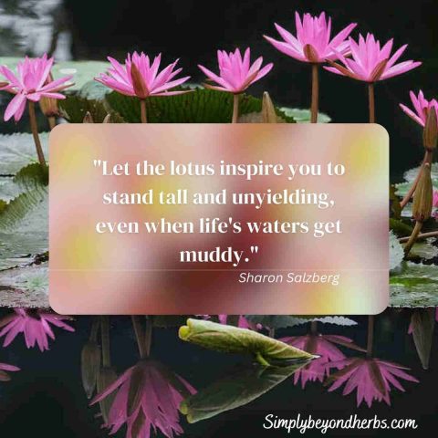 500+ Amazing Flower Captions for Instagram to Bloom - SimplyBeyondHerbs