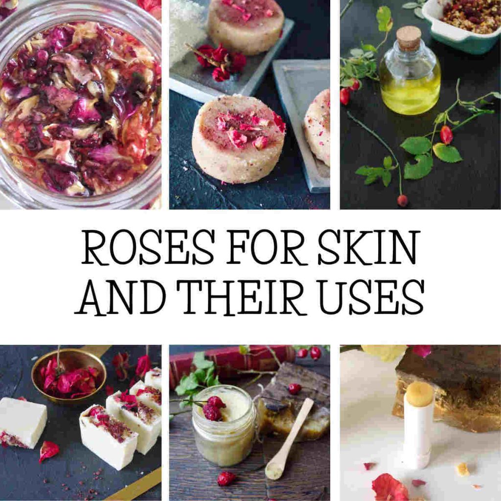 Rose Uses for Skin: 30+ DIY recipes for hair and skin care ...