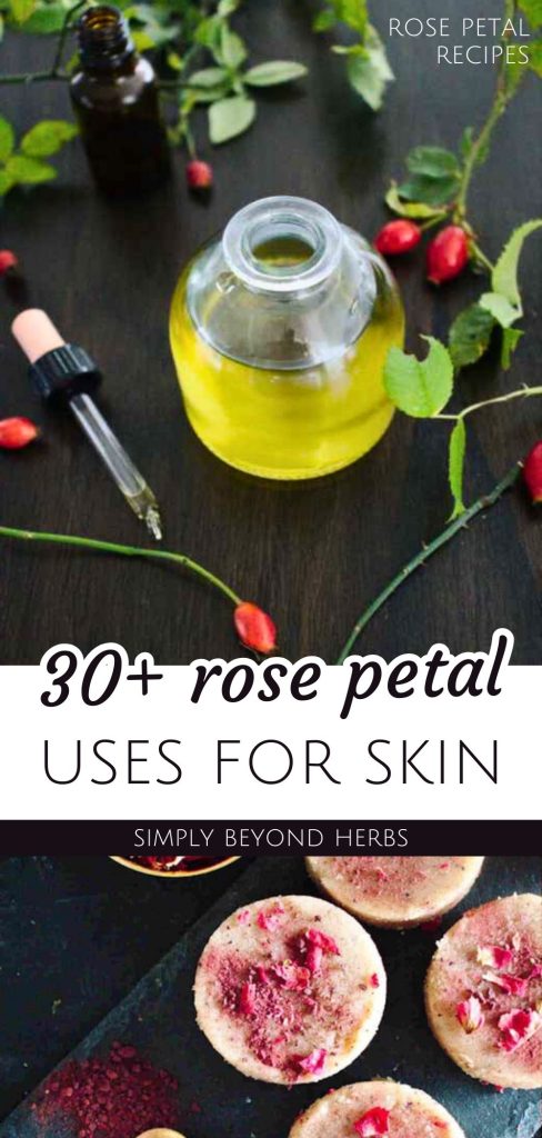 Rose Uses for Skin: 30+ DIY recipes for hair and skin care ...