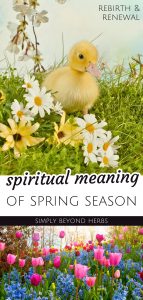 Spring Symbolism: The Ultimate Guide to the time of renewal ...