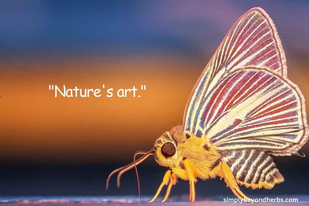 250+ Enchanting Butterfly Captions for Instagram - SimplyBeyondHerbs