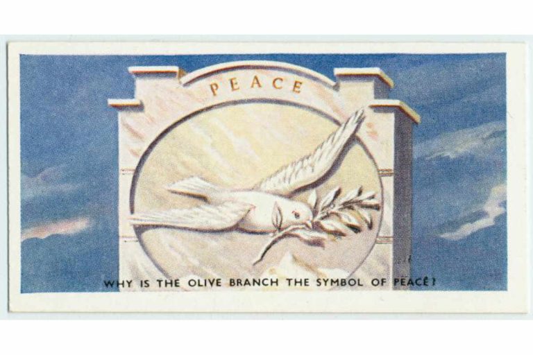 Olive Tree Symbolism: Ultimate Guide to Tree Meaning - SimplyBeyondHerbs