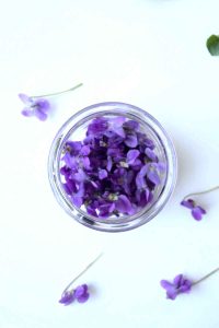 How to Make Violet Tea: Foraged Wild Violet Tea Recipe - SimplyBeyondHerbs