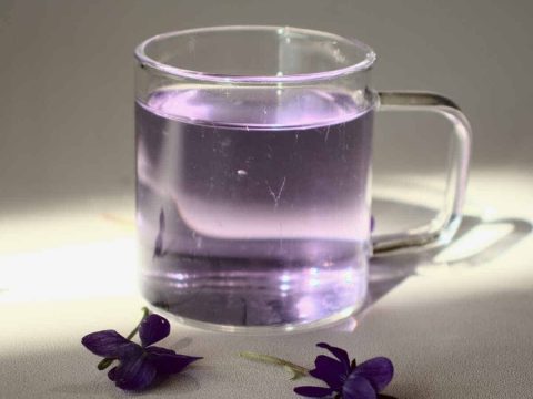 How to Make Violet Tea: Foraged Wild Violet Tea Recipe - SimplyBeyondHerbs
