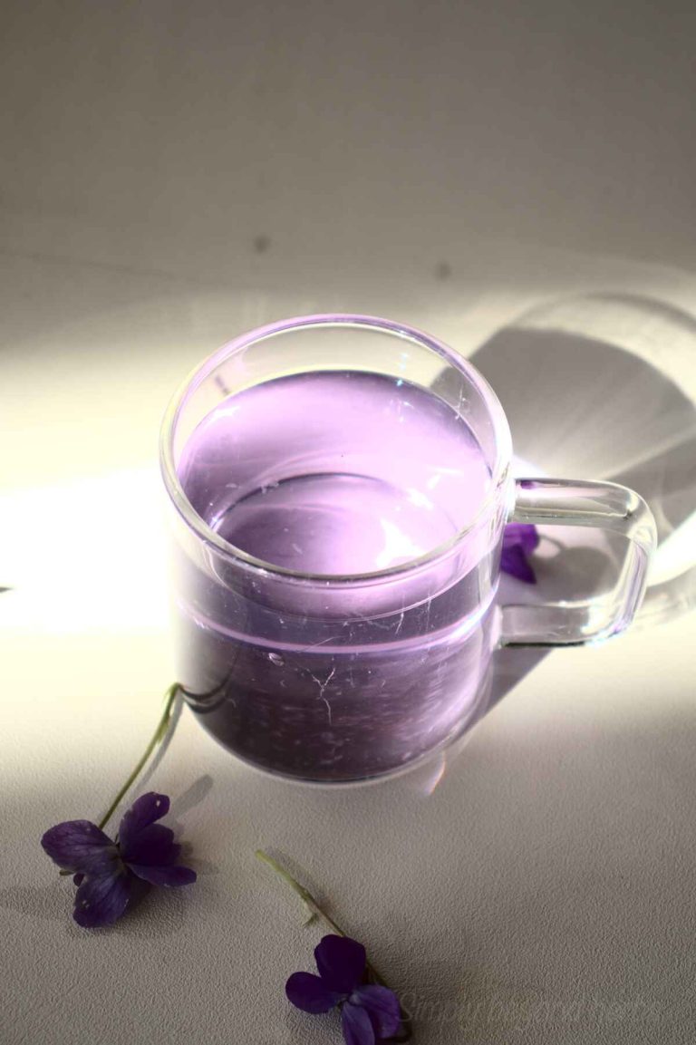 How to Make Violet Tea: Foraged Wild Violet Tea Recipe - SimplyBeyondHerbs