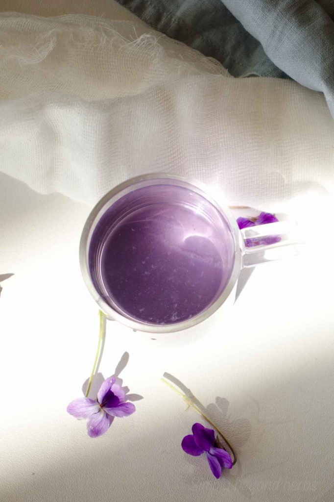 How to Make Violet Tea: Foraged Wild Violet Tea Recipe - SimplyBeyondHerbs