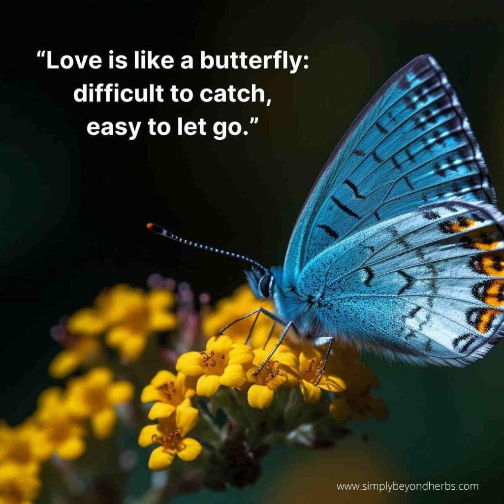 250+ Enchanting Butterfly Captions for Instagram - SimplyBeyondHerbs