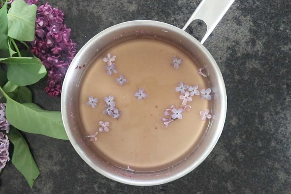 Are Lilacs Edible? 20+ Delicious recipes to eat Lilac flowers ...